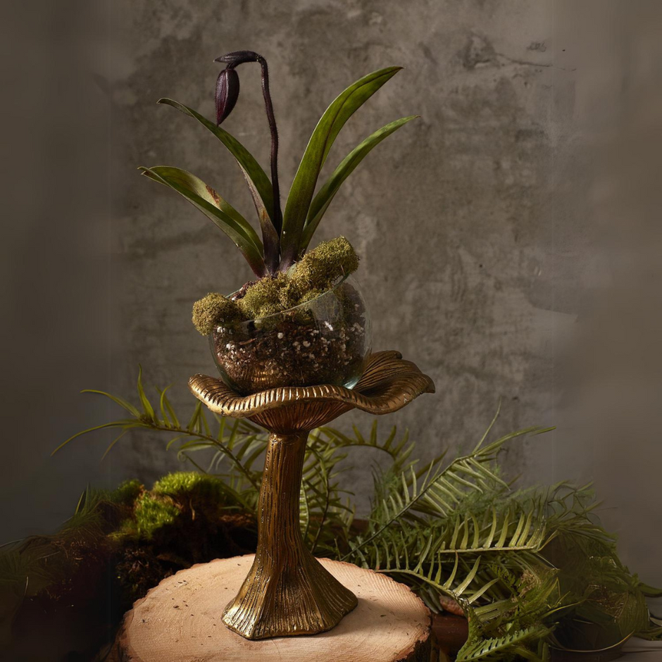 Lichen Collection Planters