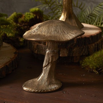 Lichen Collection {multiple styles}