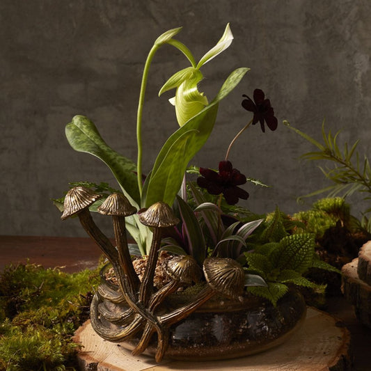 Lichen Collection {multiple styles}